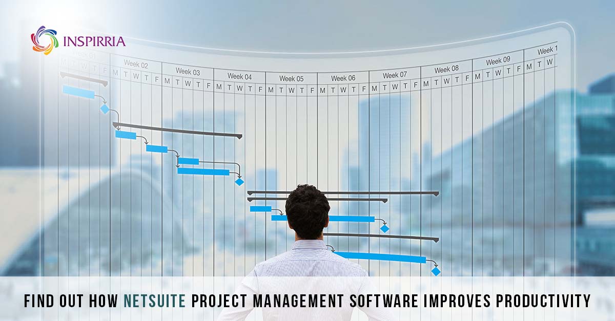 Find Out How NetSuite Project Management Software Improves Productivity | Inspirria Cloudtech